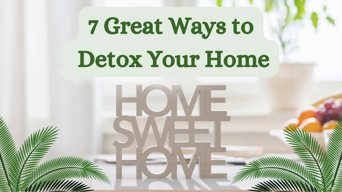 7 Great Ways to Detox Your Home– Elva's All Naturals